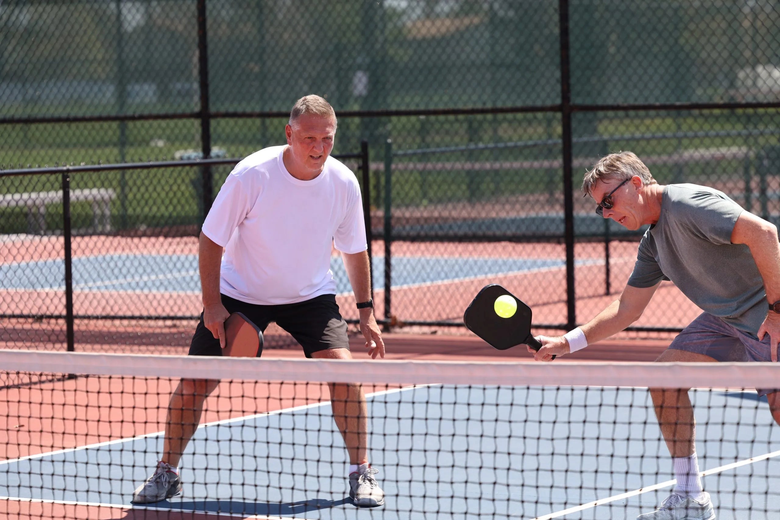 Harnessing Brain Plasticity for Enhanced Health After 40 – Ultra Botanica