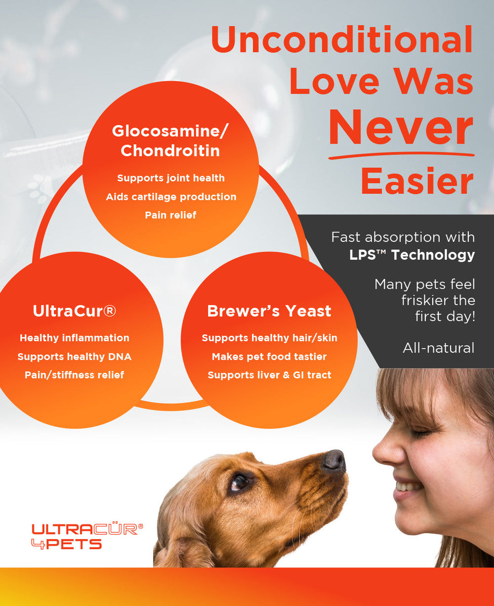UltraCur® 4Pets™ for Dogs and Cats (Curcumin + Glucosamine + Chondroit ...